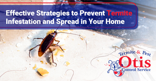 Effective Strategies to Prevent Termite Infestation and Spread in Your Home
