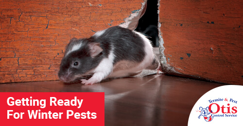 Getting Ready For Winter Pests