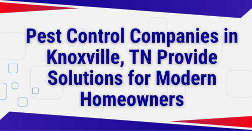 Pest Control Companies in Knoxville, TN, Provide Solutions for Modern ...
