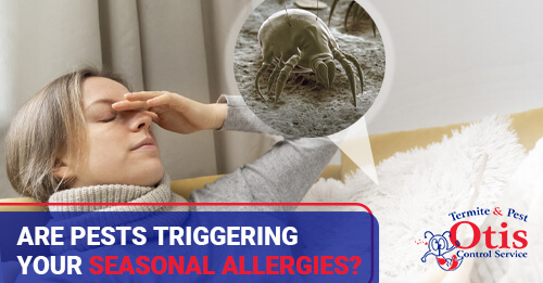 Are Pests Triggering Your Seasonal Allergies?