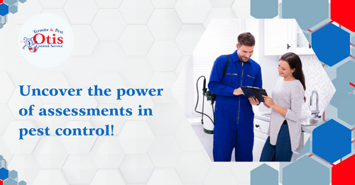 Why Assessments Are a Key Element of Pest Control